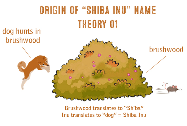Shiba Inu History And Origins - My First Shiba Inu