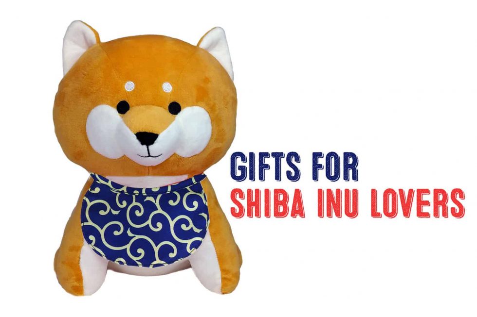 Shiba Inu Gifts For Crazy Shiba Inu Lovers - My First Shiba Inu
