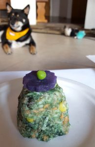 How To Safely Feed Your Shiba Inu a Balanced Homemade Diet That’s Vet ...