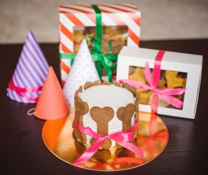 The Ultimate Shiba Inu Birthday Party Guide - My First Shiba Inu