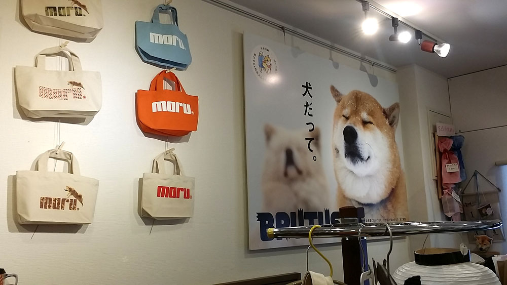Shiba Inu Tokyo Shopping Spree! – Finding Shiba Inu Merchandise In ...
