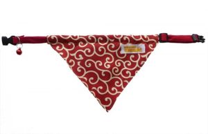 Secrets Of The Elusive Shiba Inu Bath – Shiba Inu Bathing Tips And ...