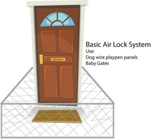 Shiba Inu Escape Artist No More – Must Do Steps To Keep Your Shiba Safe ...