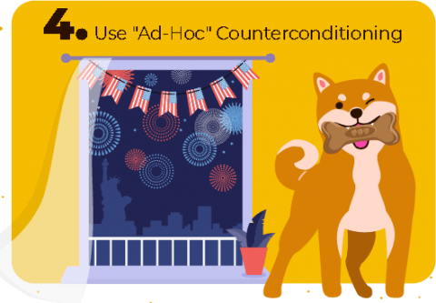 Shiba Inus And Fireworks – 7 Ways To Reduce Fear / Anxiety - My First ...