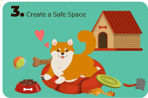 Shiba Inus And Fireworks – 7 Ways To Reduce Fear / Anxiety - My First ...